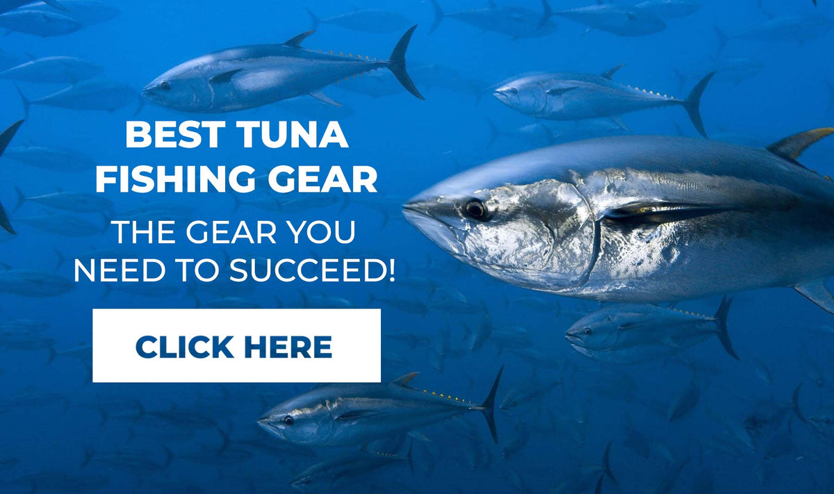 Fergo’s Tackle World | Fishing Store | Buy Fishing Tackle Online